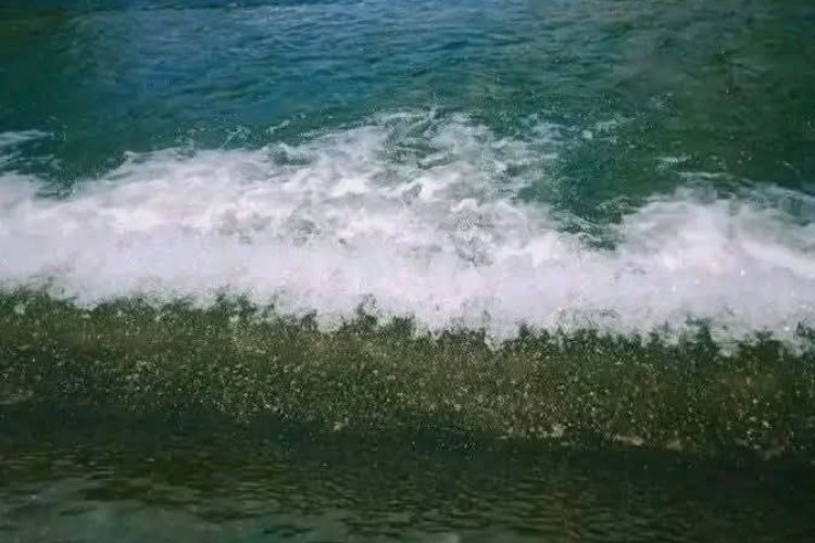 Viral Air Sungai Menguning di Lubuk Beringin, Rio: Diduga Akibat ...